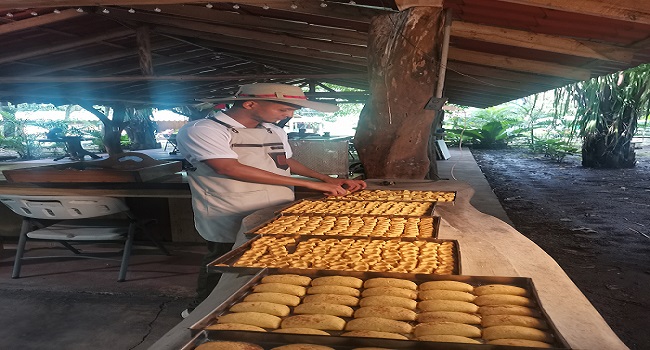 Finca nicoyana rescata tradiciones de la gastronomía guanacasteca ...